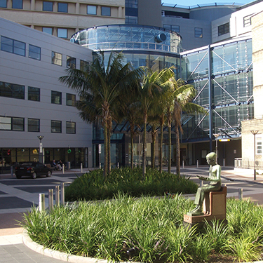 Royal Prince Alfred Hospital - Place Design Group