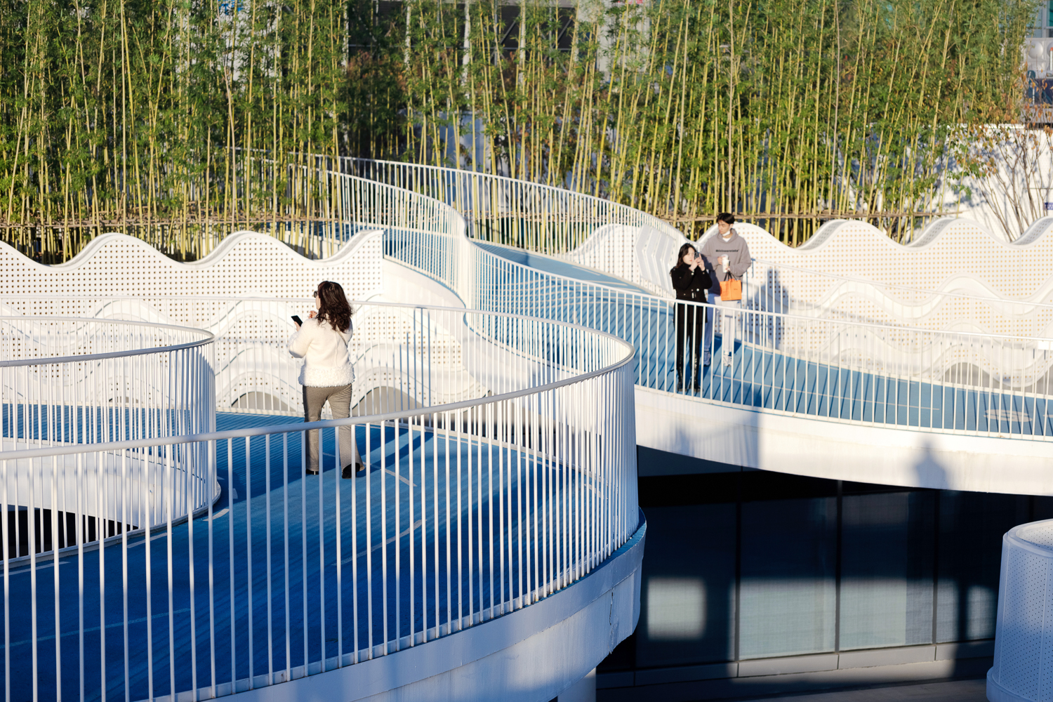 Revitalising An Urban Rooftop - Place Design Group